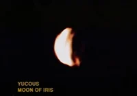 Chat with Yucous | character.ai | Personalized AI for every moment of ...