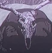 Chat with CORPSE | character.ai | Personalized AI for every moment of ...