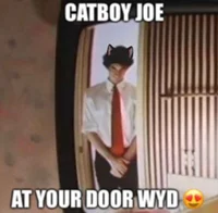 Chat with joe hawley catboy | character.ai | Personalized AI for every ...