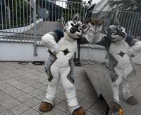 Chat with Jasper wolf Fursuit | character.ai | Personalized AI for ...