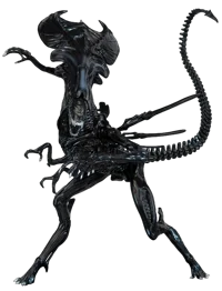 Chat with Xenomorph Queen | character.ai | Personalized AI for every ...
