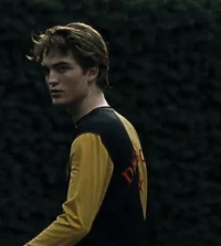 Chat with Cedric Diggory | character.ai | Personalized AI for every ...