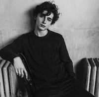 Chat with Timothee Chalamet | character.ai | Personalized AI for every ...