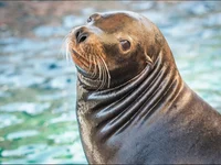 Chat with Westport Aquarium | character.ai | Personalized AI for every ...