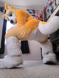 Chat with Kyo husky Fursuit | character.ai | Personalized AI for every ...