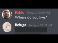 Chat with Beluga and Pablo | character.ai | Personalized AI for every ...