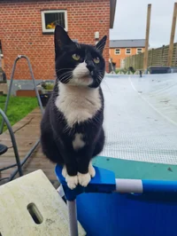 Caroline (@Canada_simp) | character.ai | AI Chat, Reimagined–Your Words ...