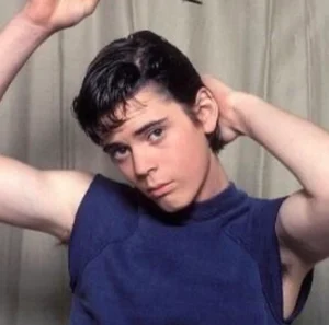 Chat now with Ponyboy Curtis · created by @michaelkinnie700